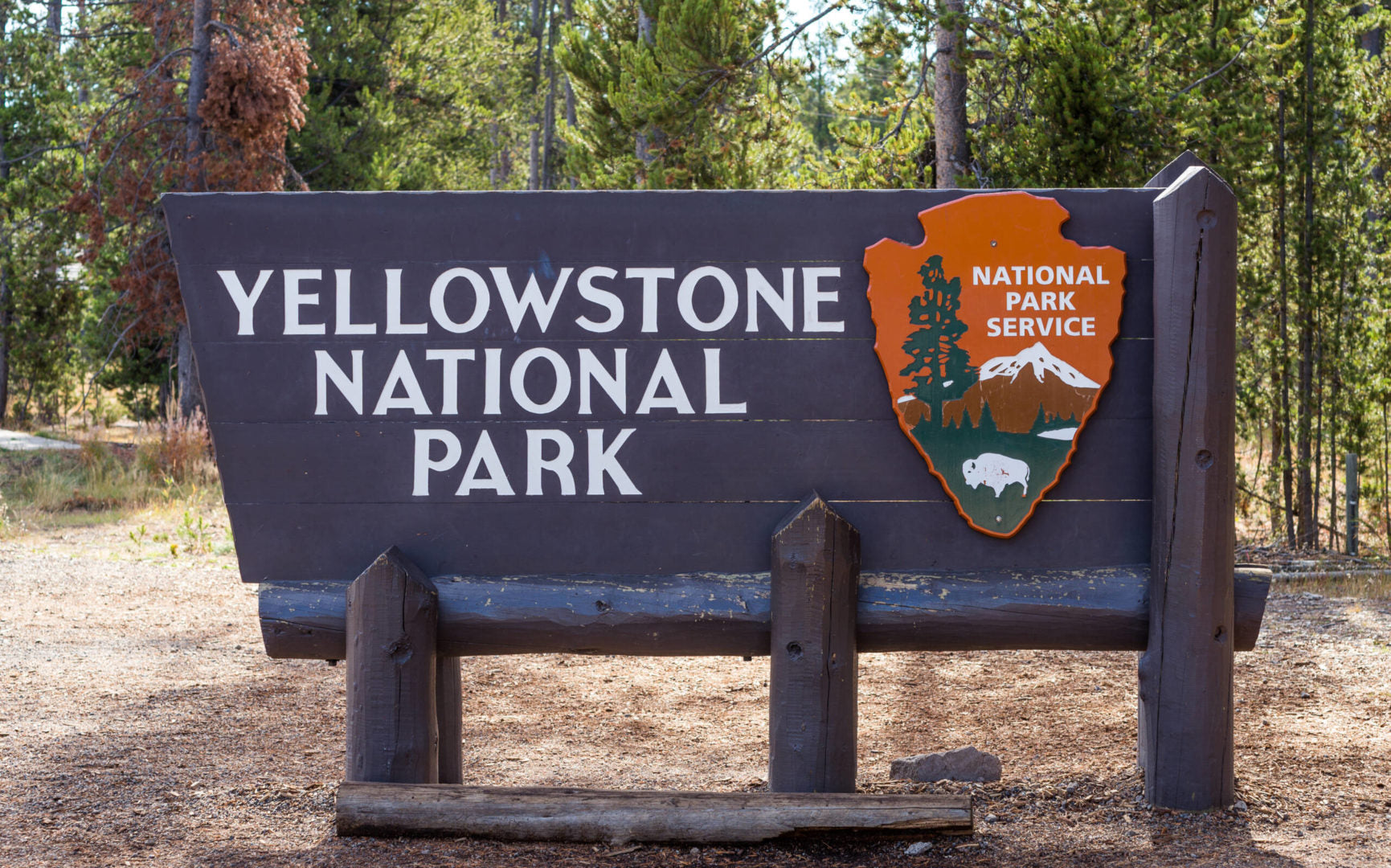 7 Tips for Visiting Yellowstone in Spring | Trailer Valet
